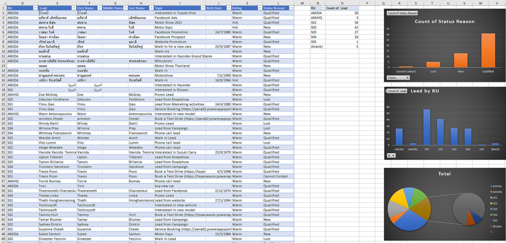 Using Yana DMS Excel templates for data analysis - Beyond Dealer ...